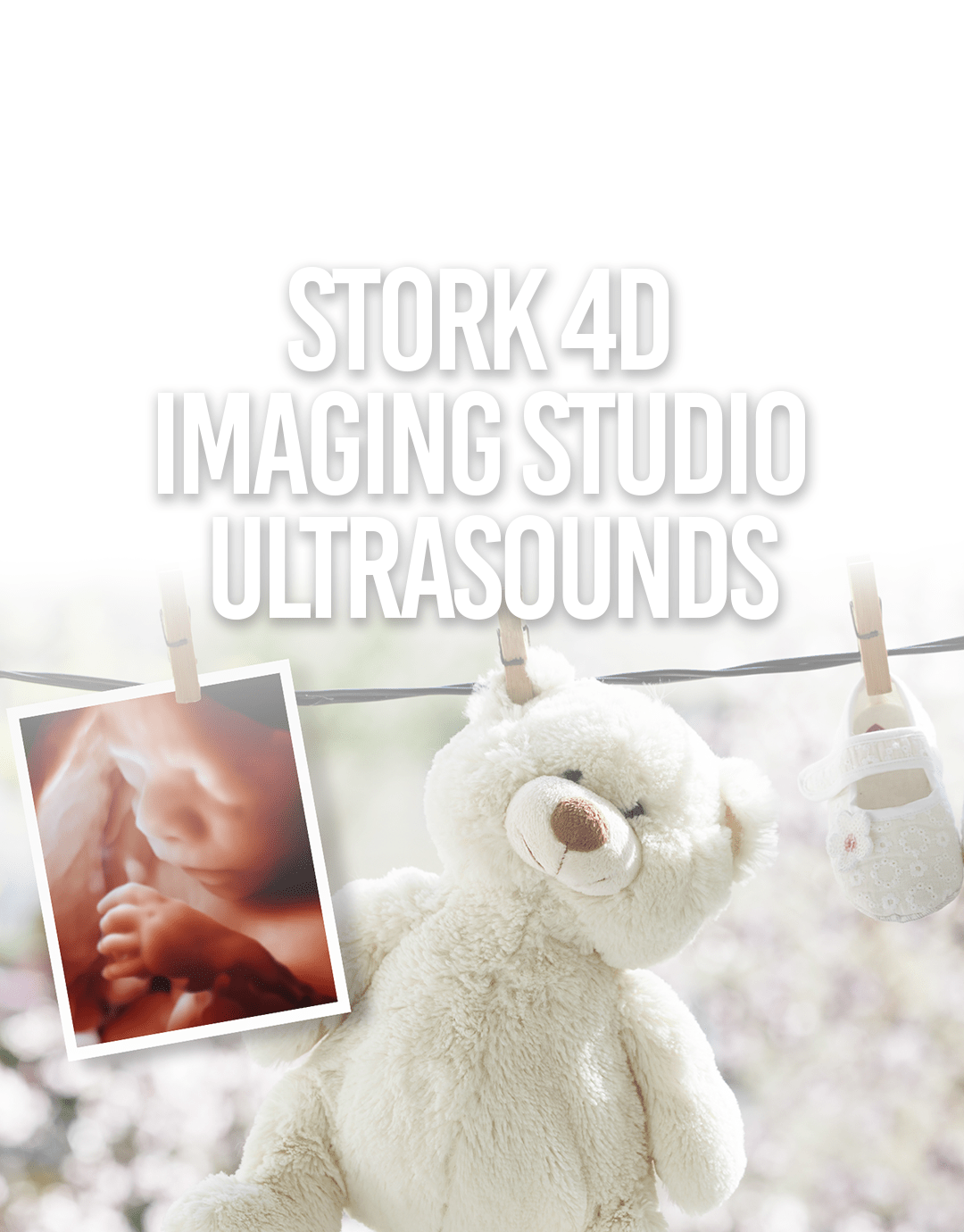 Services - Stork 4D Imaging